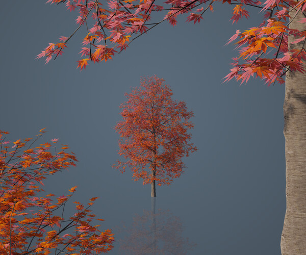 ArtStation - Red Maple Trees | Game Assets