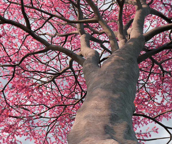 ArtStation - Red Maple Trees | Game Assets