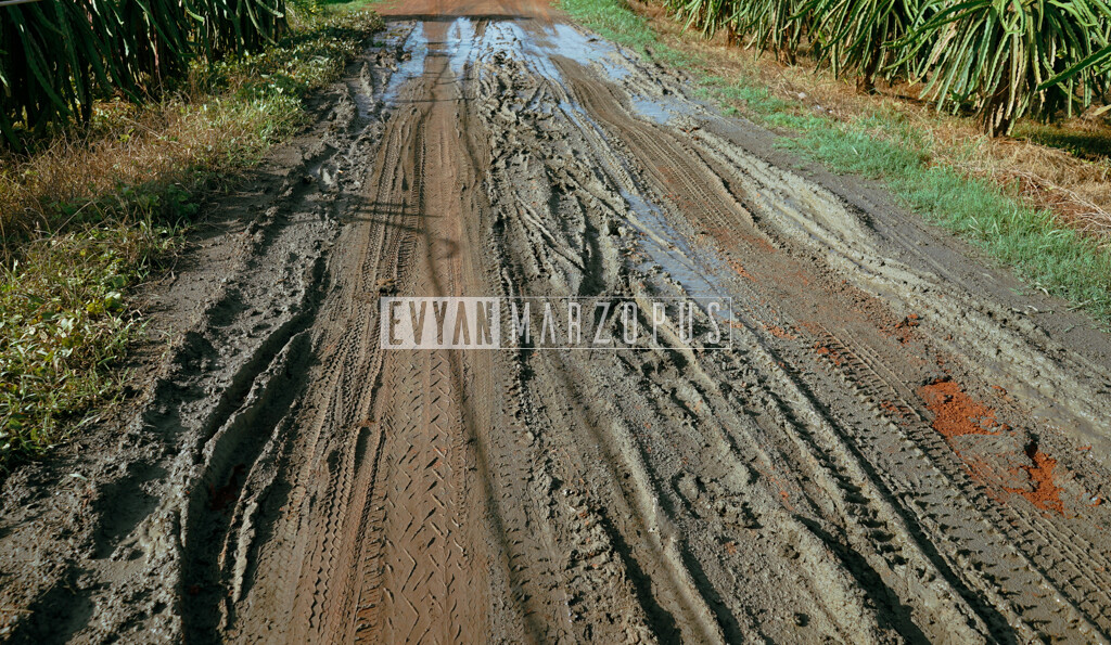 ArtStation - Mud Street | Resources