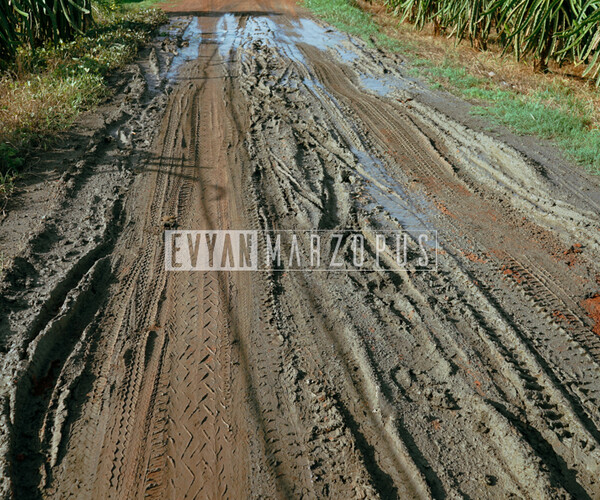 ArtStation - Mud Street | Resources