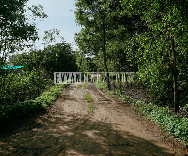 ArtStation - Mud Street | Resources