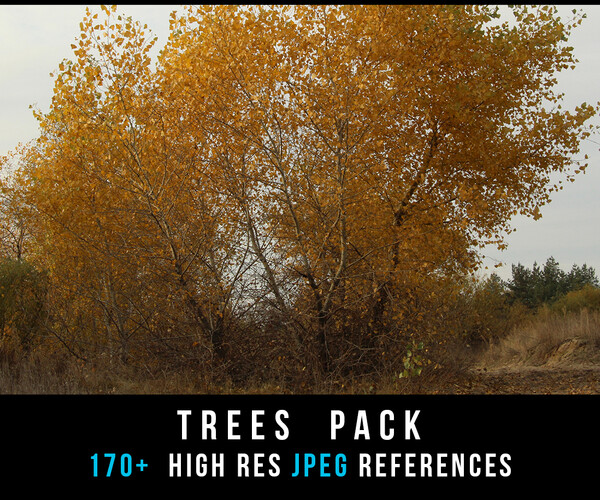 ArtStation - Trees Pack | Resources