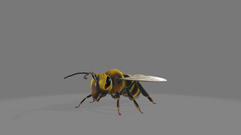 ArtStation - animated bee | Game Assets