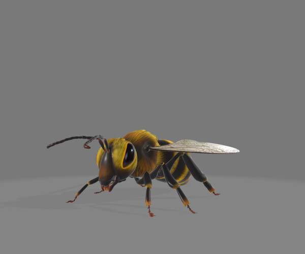 ArtStation - animated bee | Game Assets