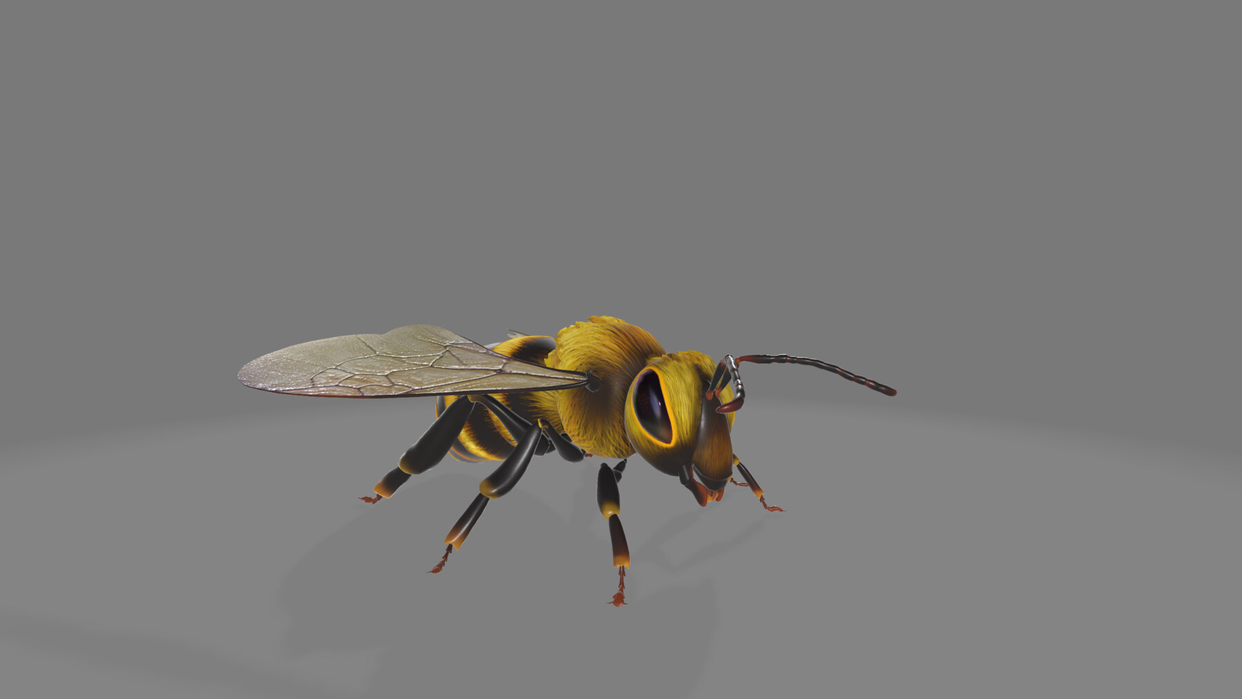 ArtStation - animated bee | Game Assets