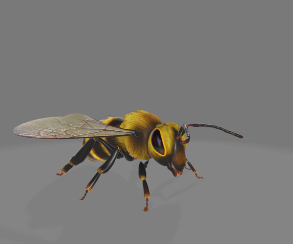 ArtStation - animated bee | Game Assets