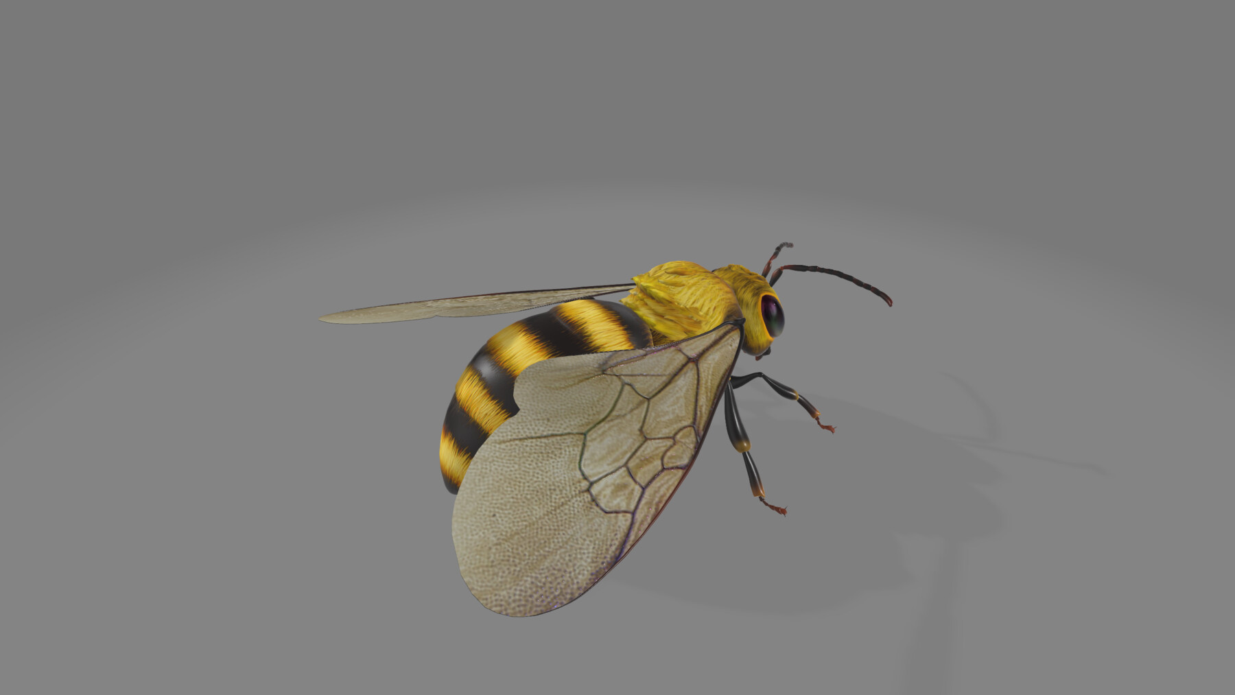 ArtStation - animated bee | Game Assets