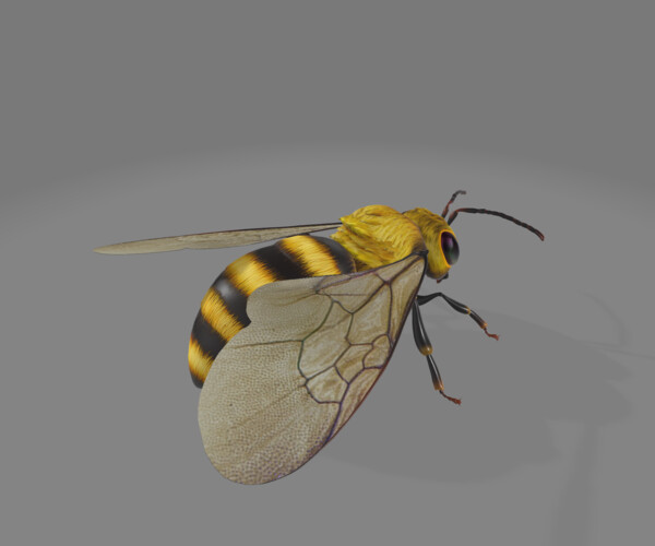 ArtStation - animated bee | Game Assets