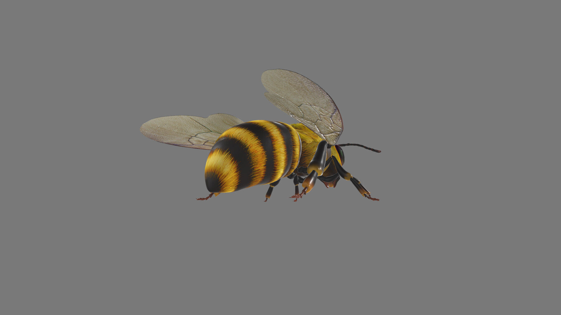 ArtStation - animated bee | Game Assets