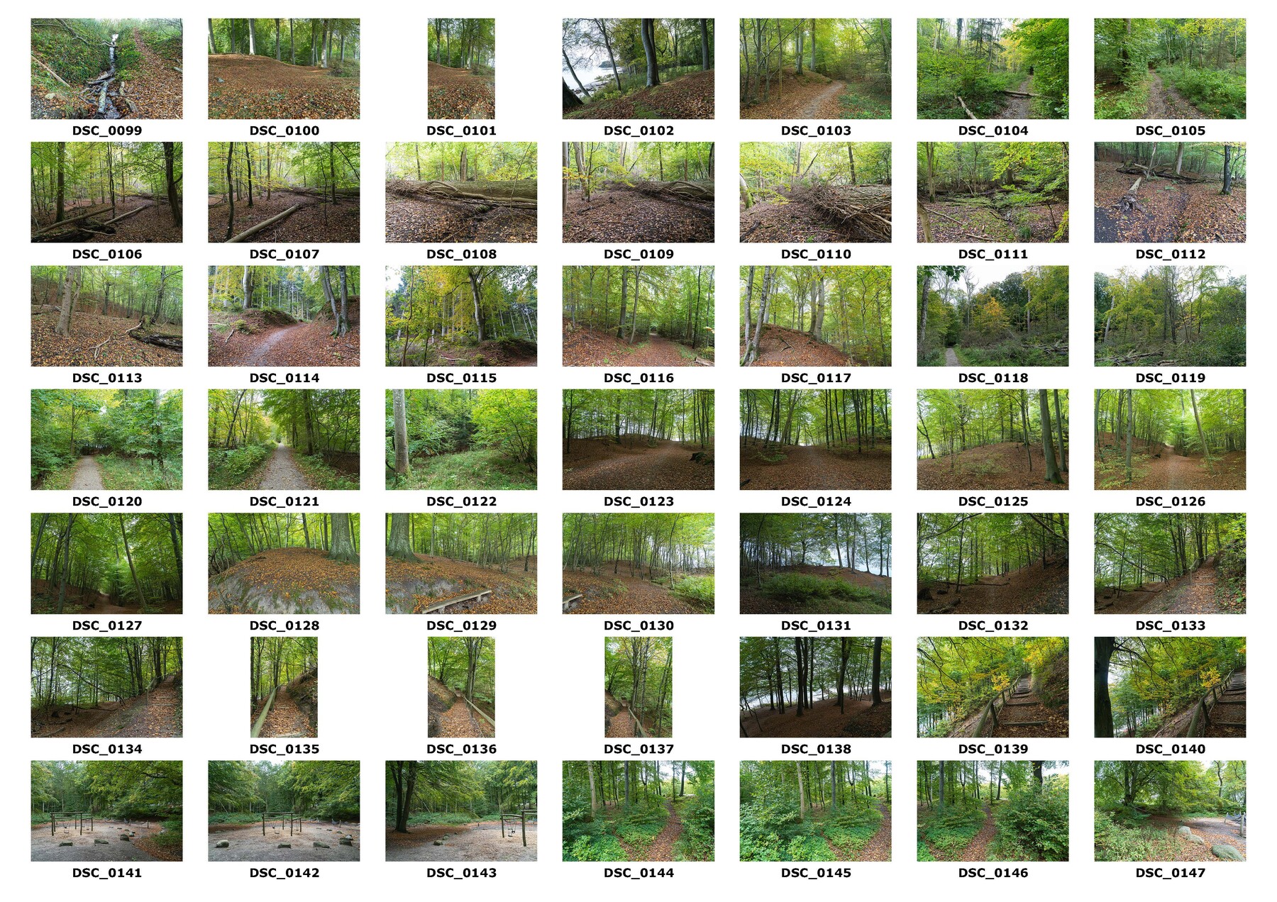 ArtStation - AUTUMN VOL.1 - MARSELISBORG FOREST / Photo Reference ...