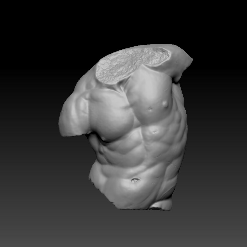 ArtStation - Gaddi Torso 3D (obj) | Resources