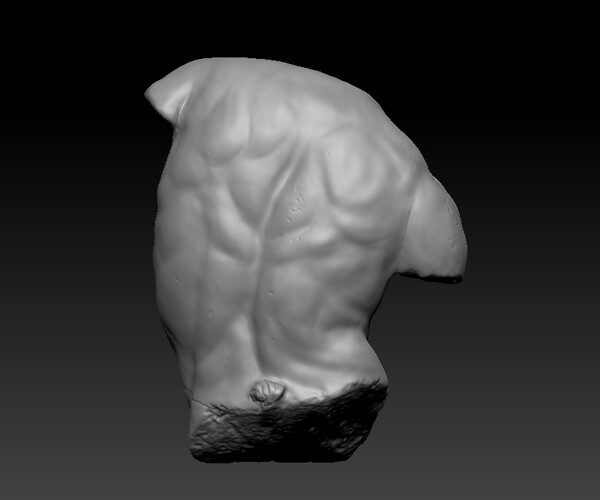 ArtStation - Gaddi Torso 3D (obj) | Resources