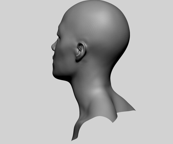 ArtStation - Base Male and Female Head | Resources
