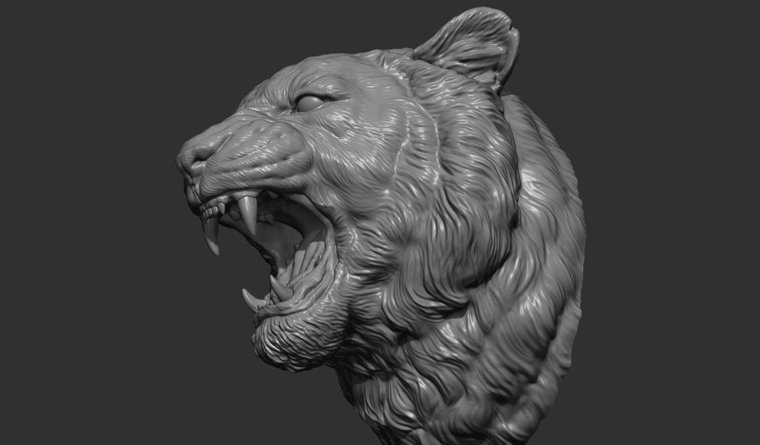 ArtStation - Tiger grin roar | Resources