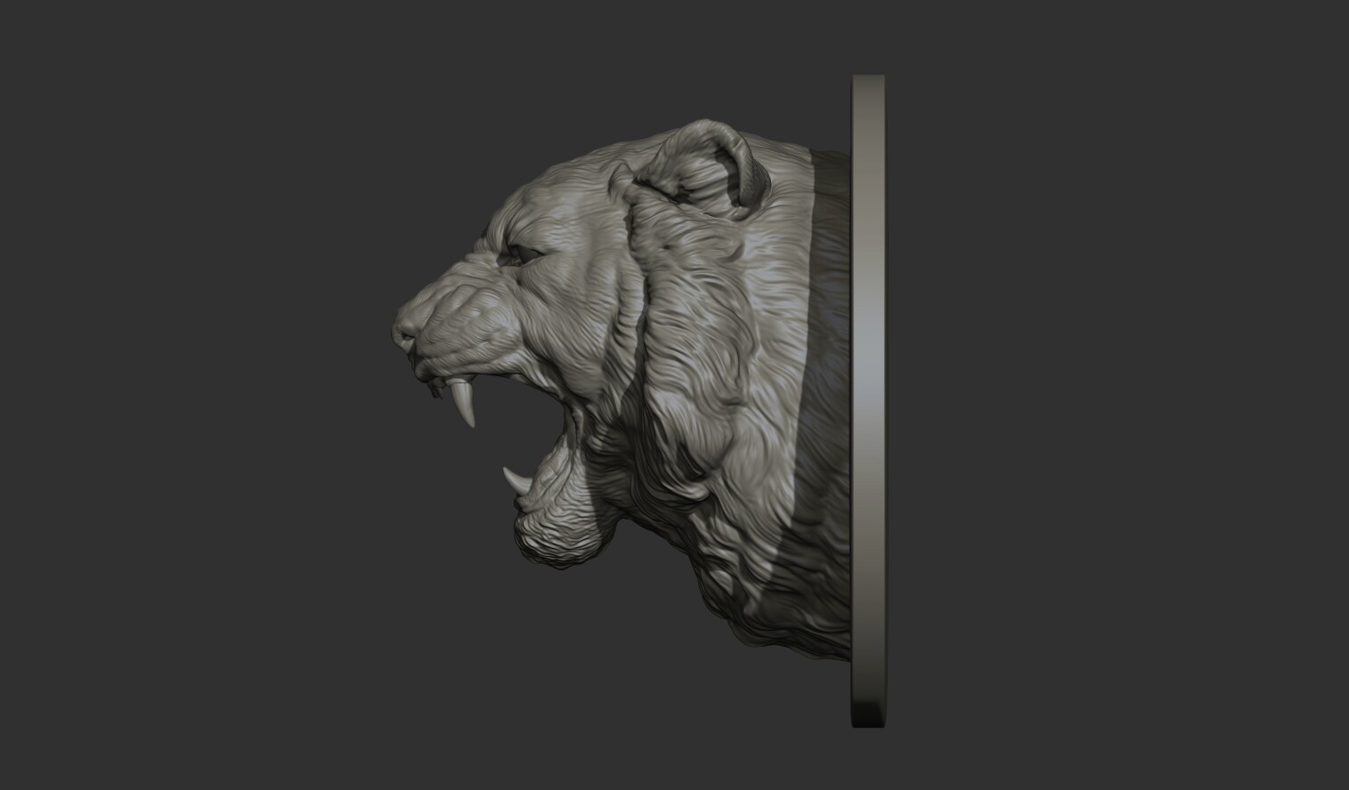 ArtStation - Tiger grin roar | Resources