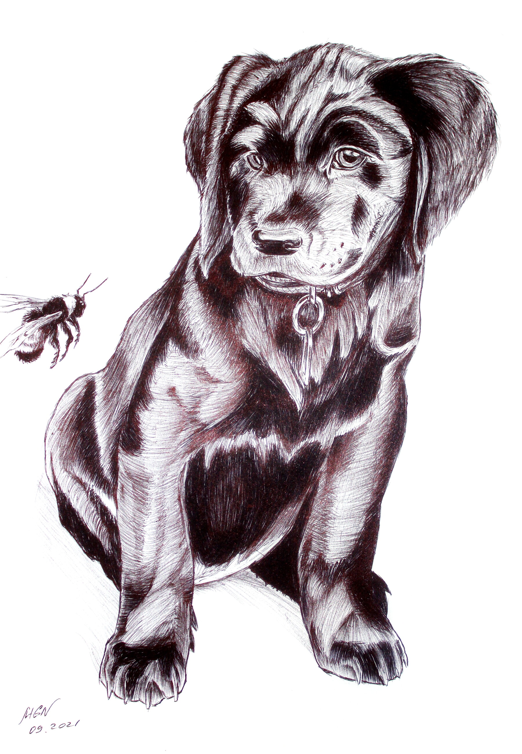 ArtStation - Puppy and bee. | Artworks