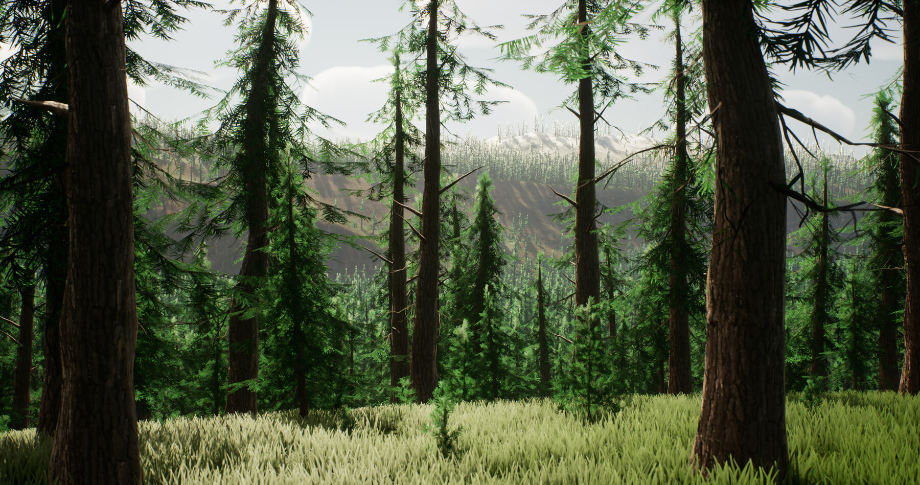 ArtStation - Stylized Trees Pack 2 | Game Assets