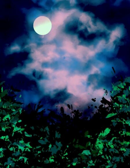 ArtStation - Summer Night | Artworks