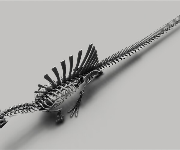 ArtStation - Spinosaurus 2020 version Full Set Skeletons Sculpt Project ...