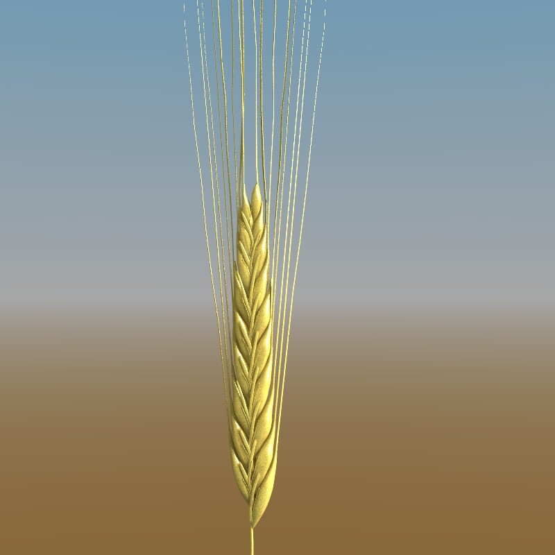ArtStation - Grains 3D model | Resources