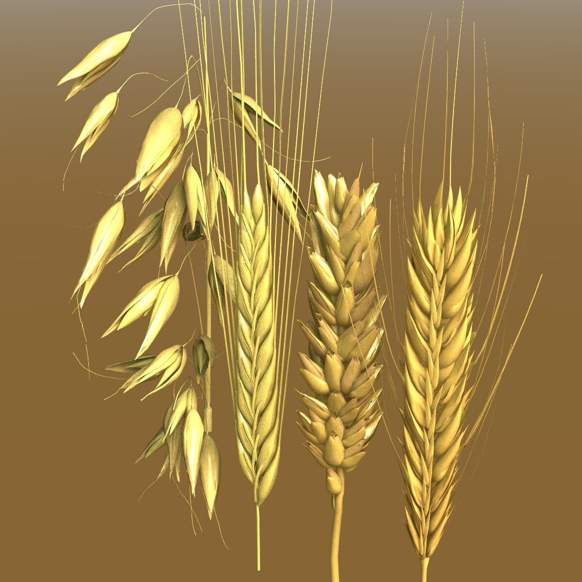 ArtStation - Grains 3D model | Resources