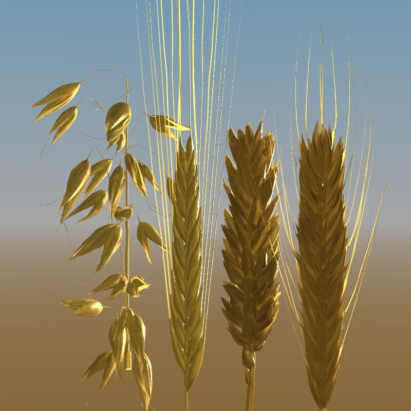 ArtStation - Grains 3D model | Resources
