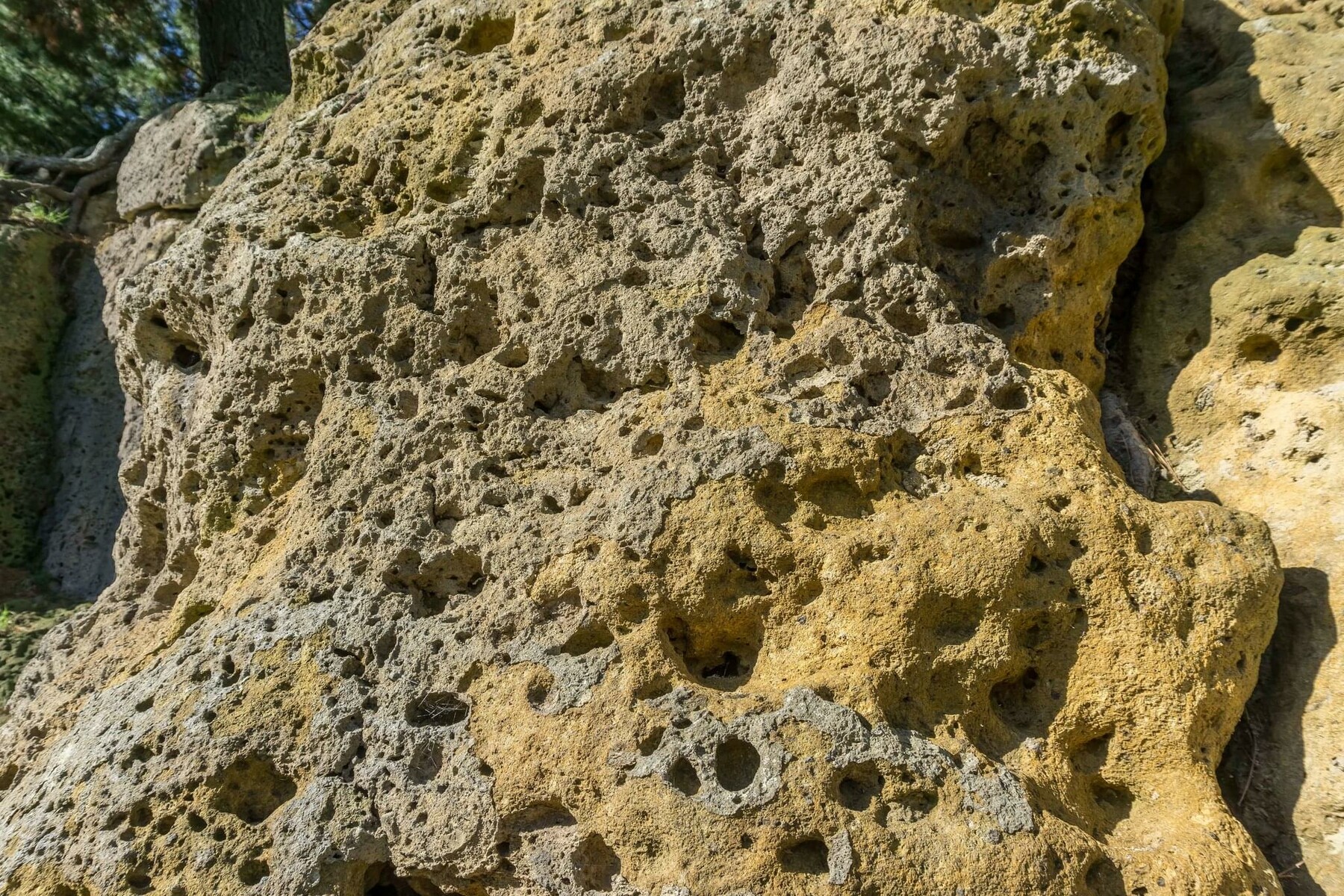ArtStation - 266 photos of Porous Limestone Cliffs | Resources