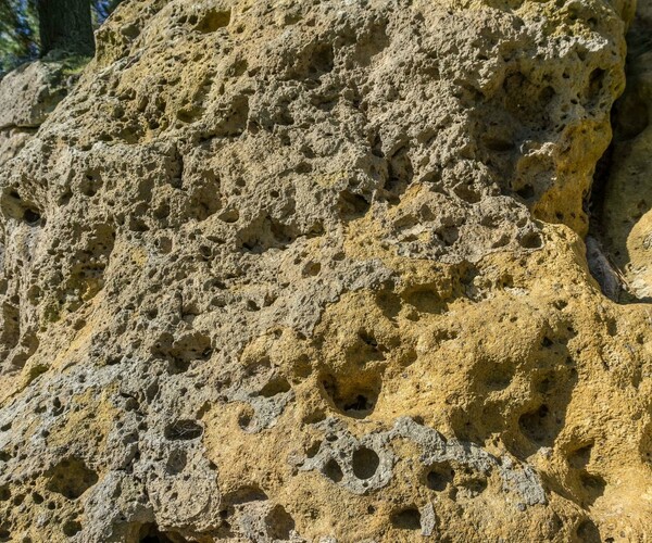 ArtStation - 266 photos of Porous Limestone Cliffs | Resources