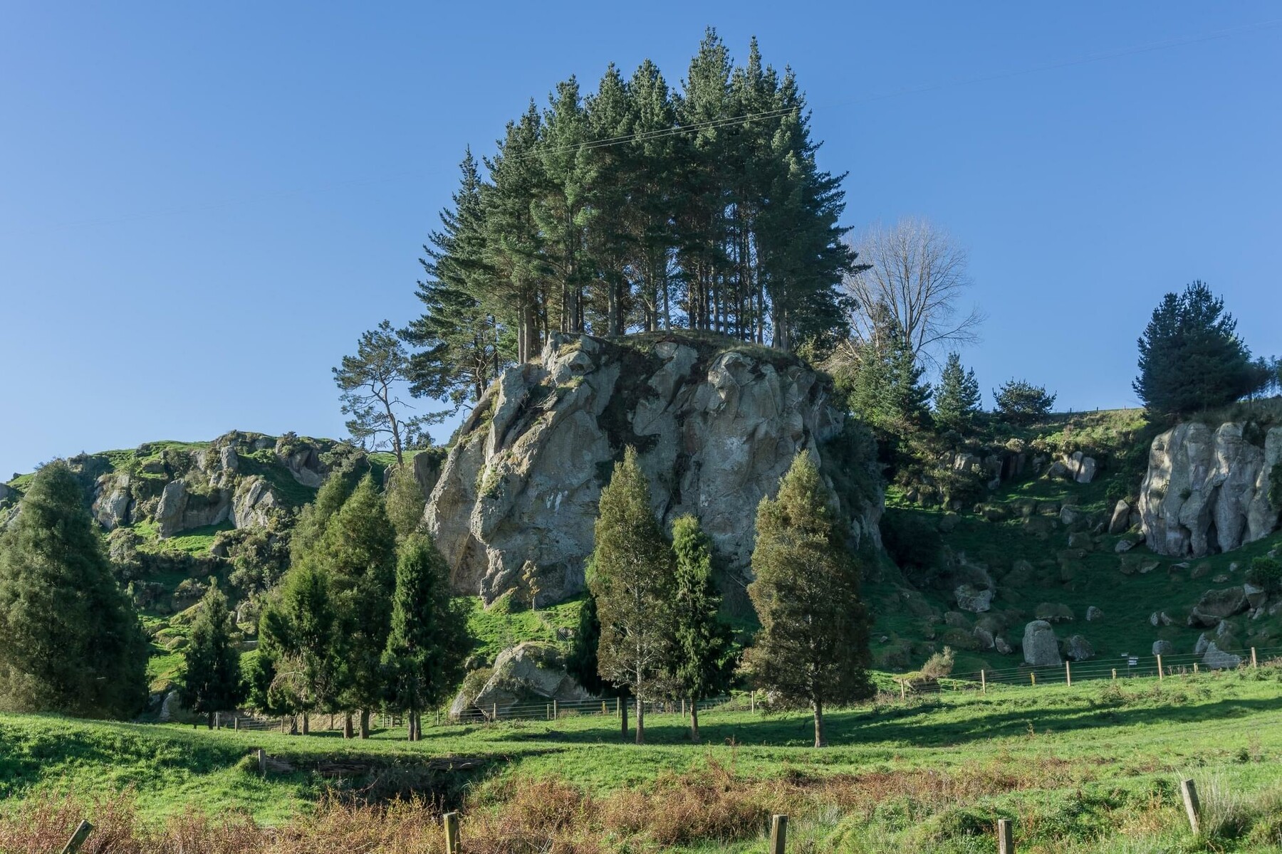ArtStation - 266 photos of Porous Limestone Cliffs | Resources
