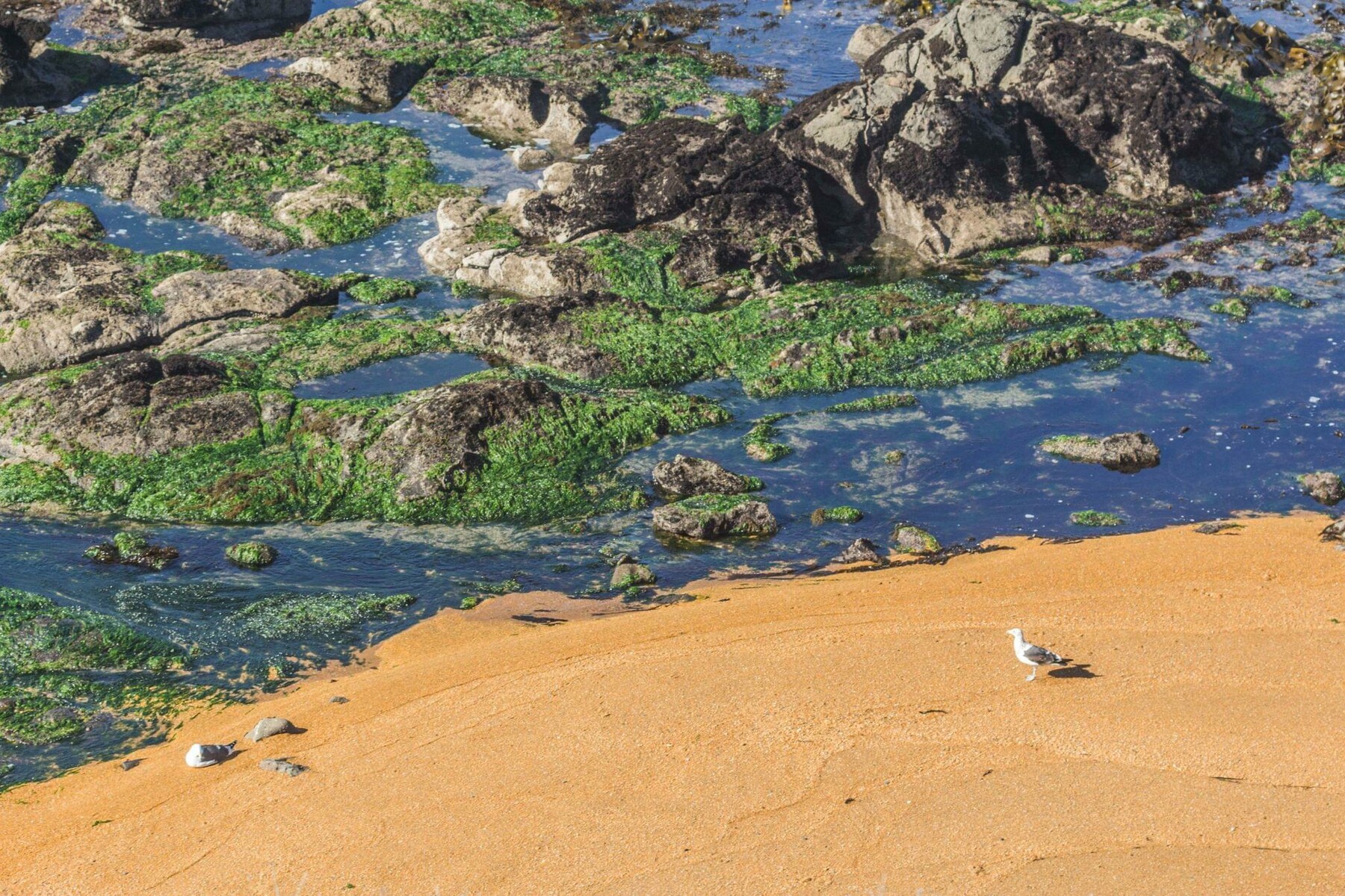 ArtStation - 66 photos of Rust Sand | Resources