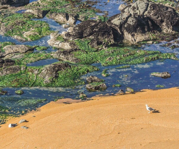 ArtStation - 66 photos of Rust Sand | Resources