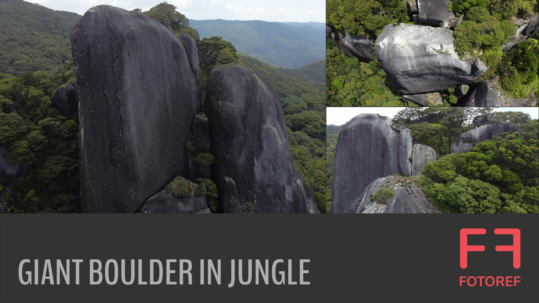 ArtStation - 260 photos of Giant Boulder in Jungle | Resources