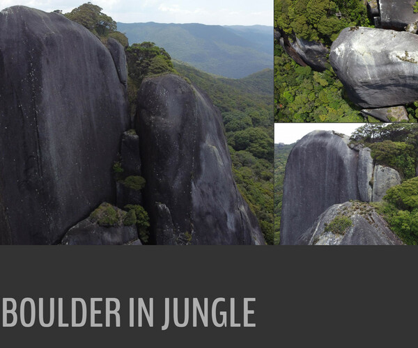 ArtStation - 260 photos of Giant Boulder in Jungle | Resources