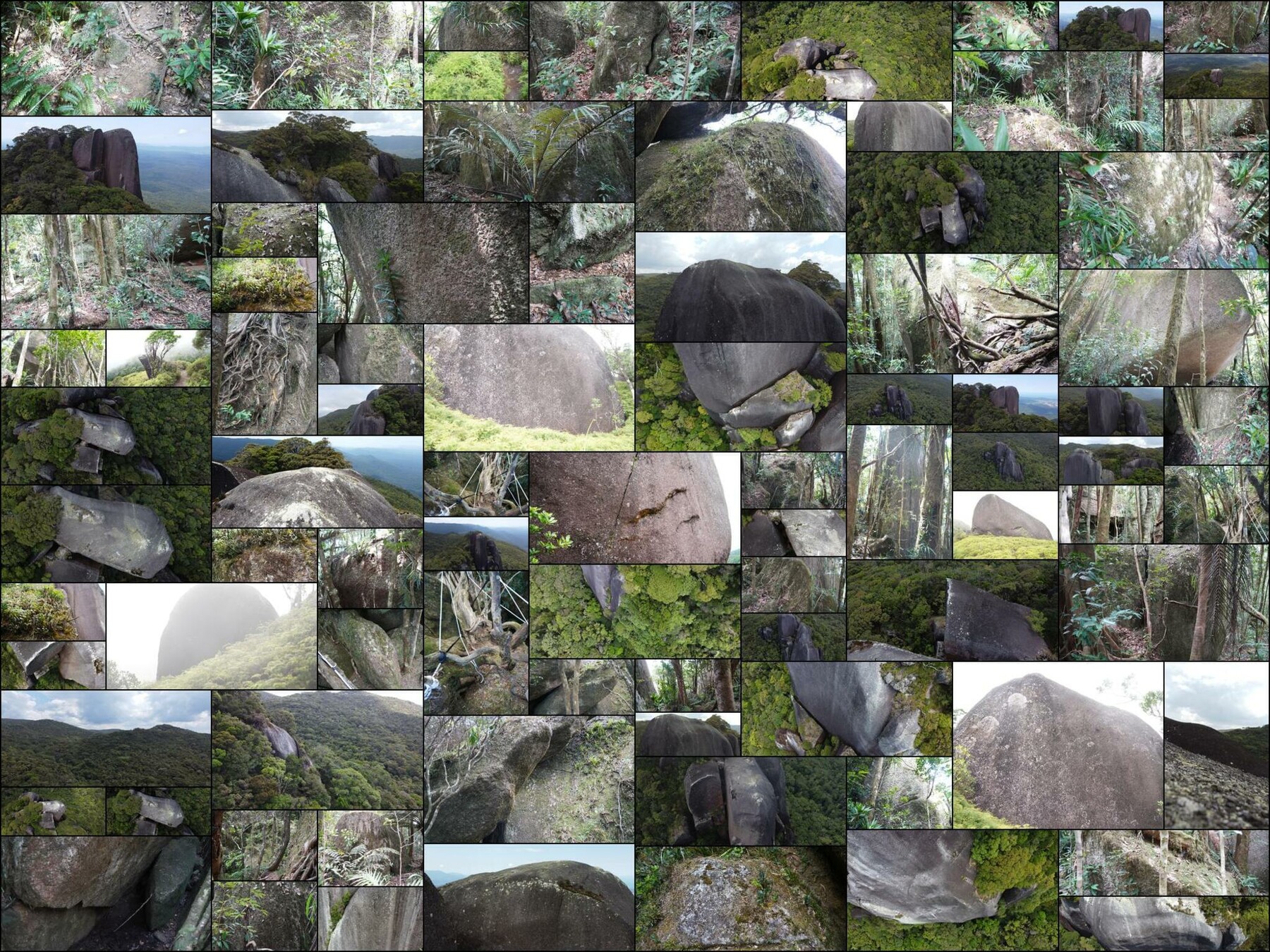 ArtStation - 260 photos of Giant Boulder in Jungle | Resources