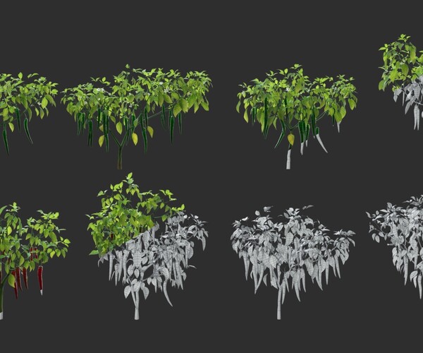 ArtStation - 3D Chilli Collection vol02 | Resources