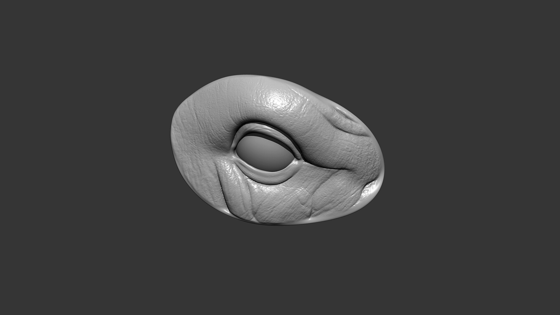 ArtStation - Rhino Eye Socket Highpoly Sculpt | Resources