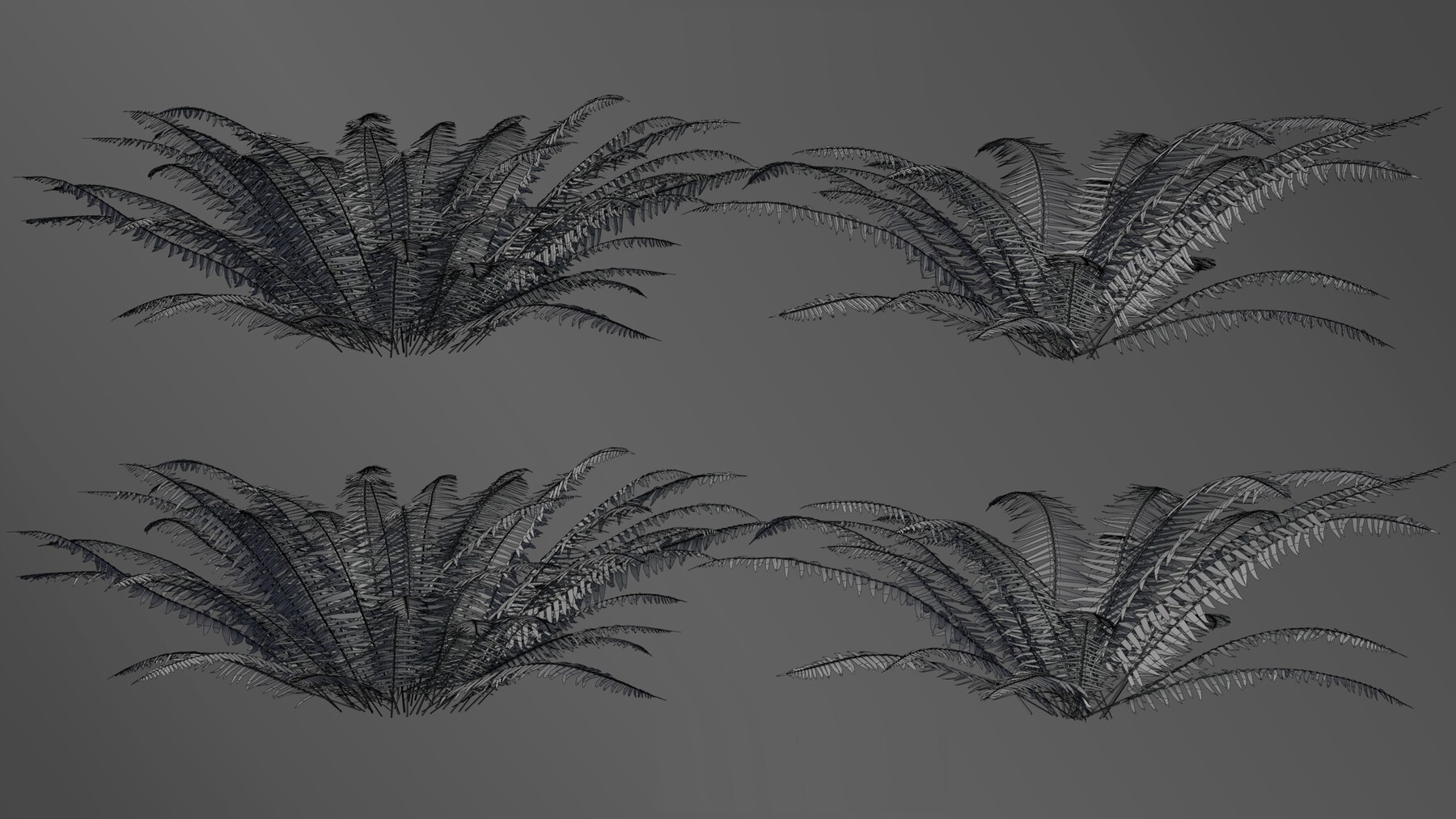 ArtStation - 3D Ferns Collection | Resources