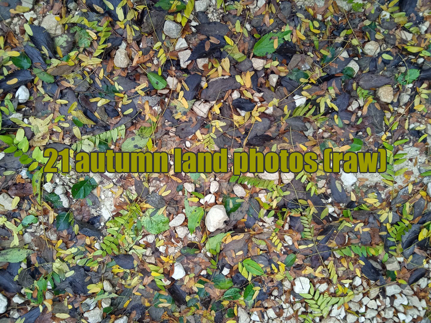 ArtStation - 21 autumn land photos (raw) | Resources