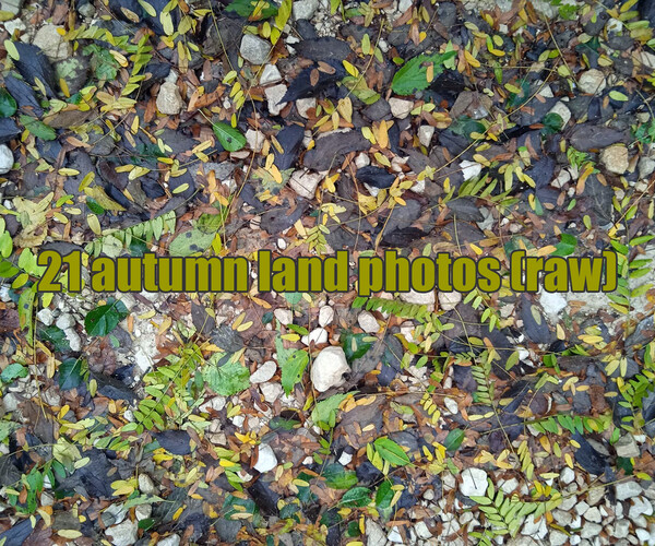 ArtStation - 21 autumn land photos (raw) | Resources