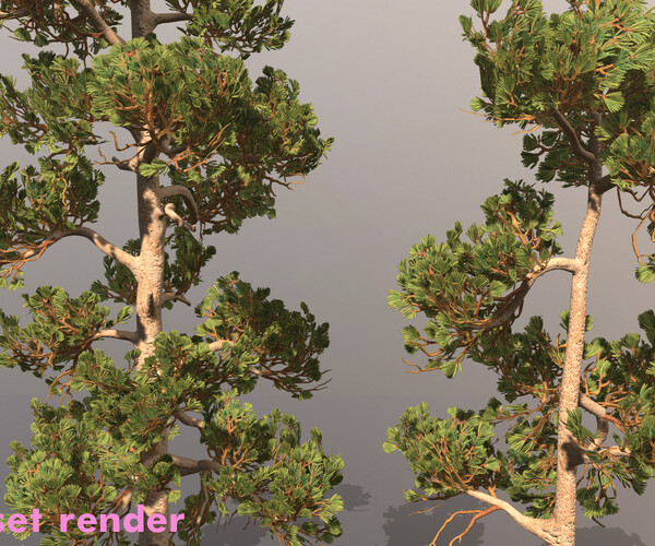 ArtStation - Pines Pack | Game Assets