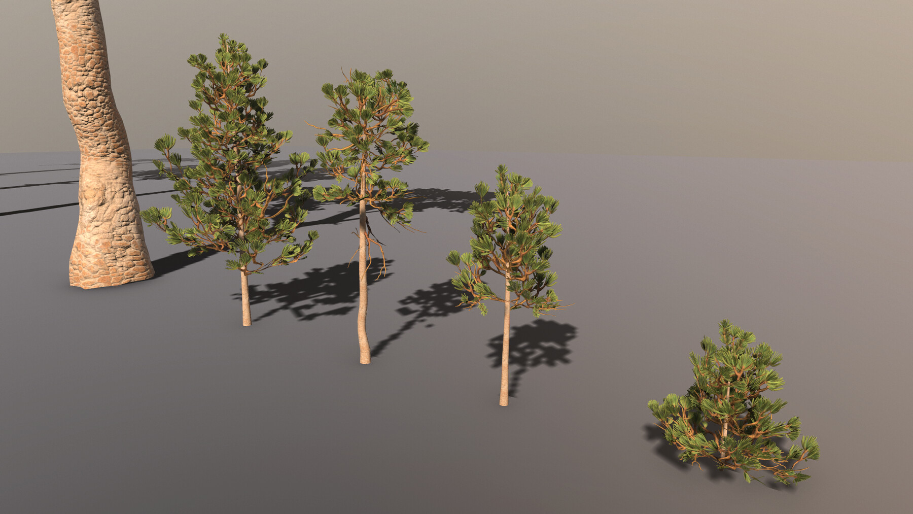 ArtStation - Pines Pack | Game Assets