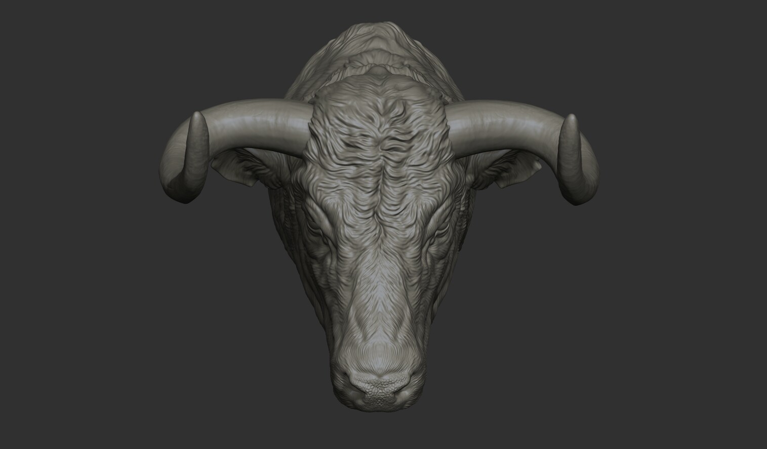ArtStation - Bull head | Resources