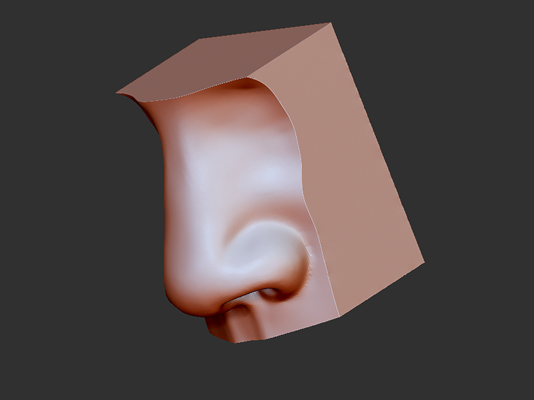 ArtStation - Human nose model,It can be printed in 3D,Organ nose,thank ...