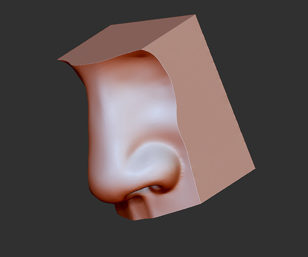 ArtStation - Human nose model,It can be printed in 3D,Organ nose,thank ...