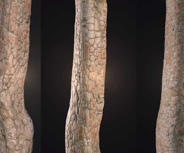 ArtStation - Pine Bark Material | Game Assets