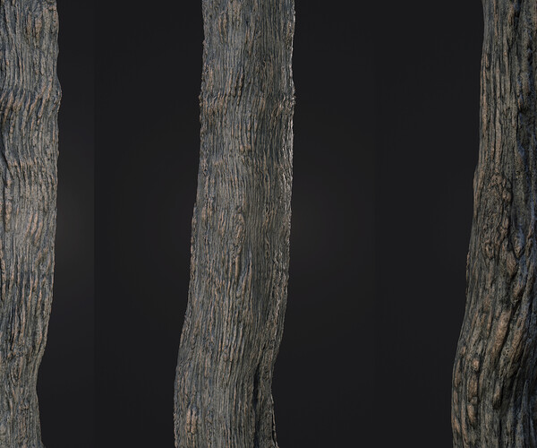 ArtStation - Tree Bark Material | Game Assets