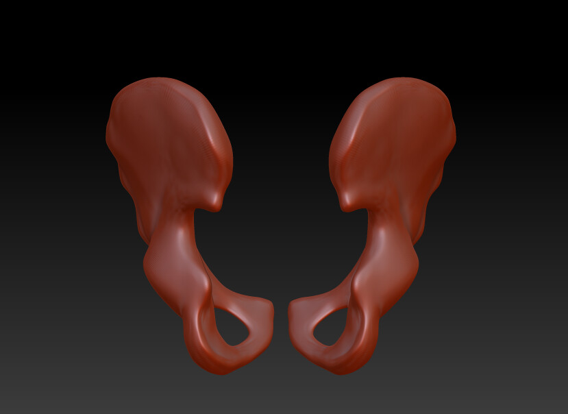 ArtStation - Download 3D model of human hip bone, | Resources
