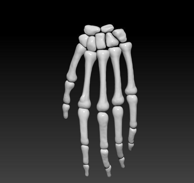 ArtStation - The 3D printing and downloading of human bone structure ...