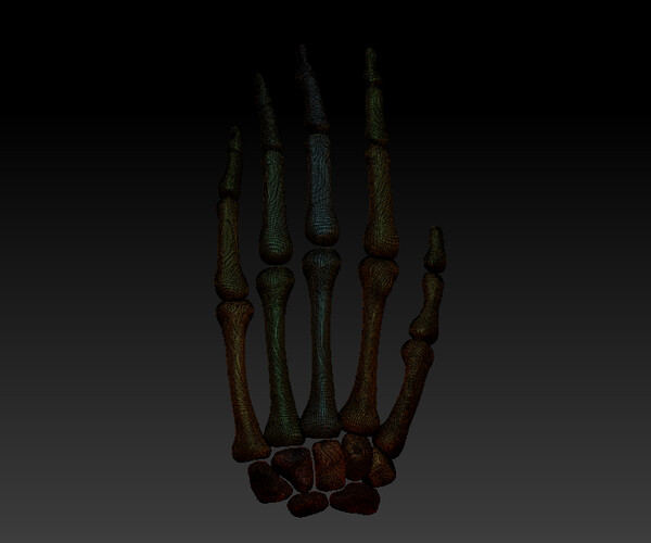 ArtStation - The 3D printing and downloading of human bone structure ...