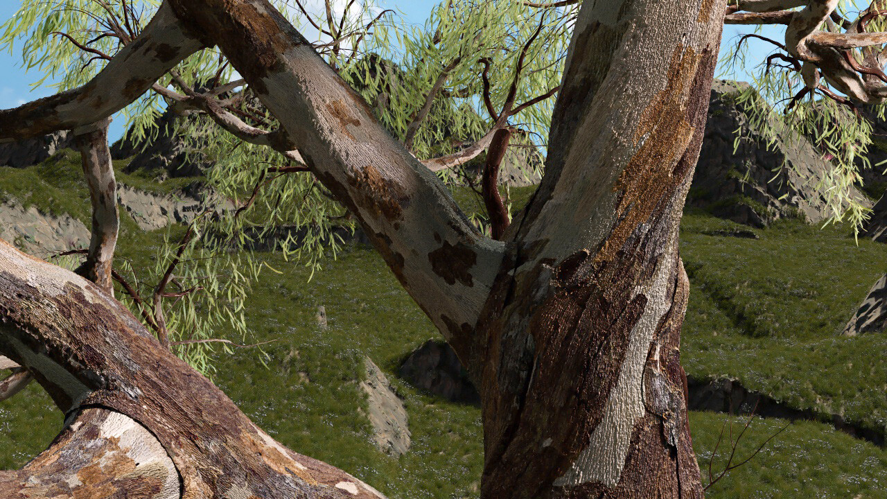 ArtStation - SpeedTree importer for Houdini 19+ Redshift & MTLX (Karma ...
